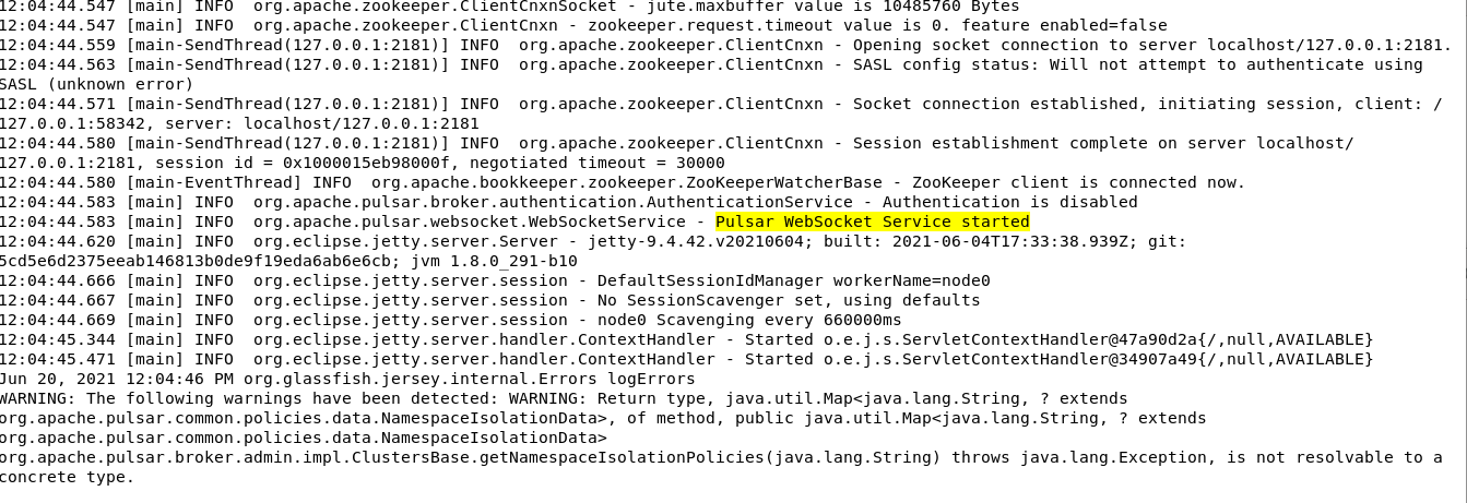 Command "bin/pulsar standalone" did not work as the document · Issue #10985 · apache/pulsar · GitHub