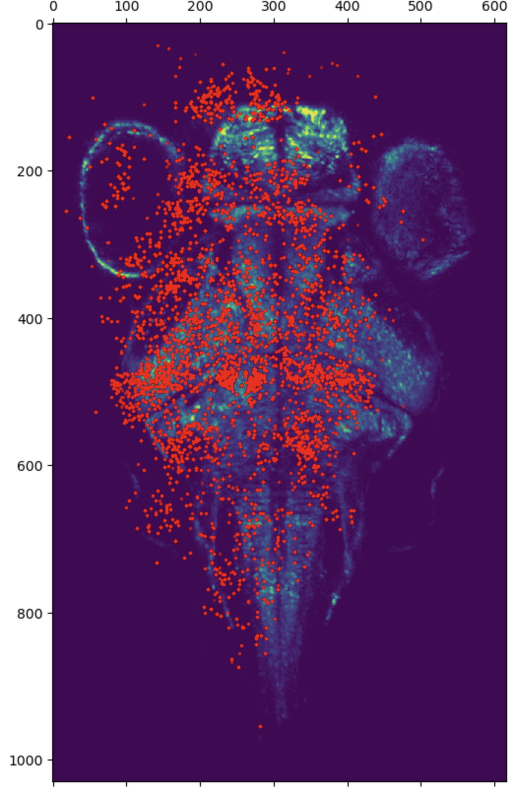 apply_transforms_to_points not working correctly · Issue #249 · ANTsX/ANTsPy · GitHub