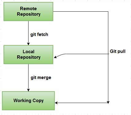 GitHub - SoftwareLab-SUT/HW2: Simple project featuring branch conflicts