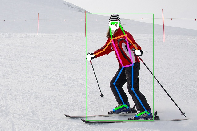 How to test on an image and get the whole body result (an image with ...