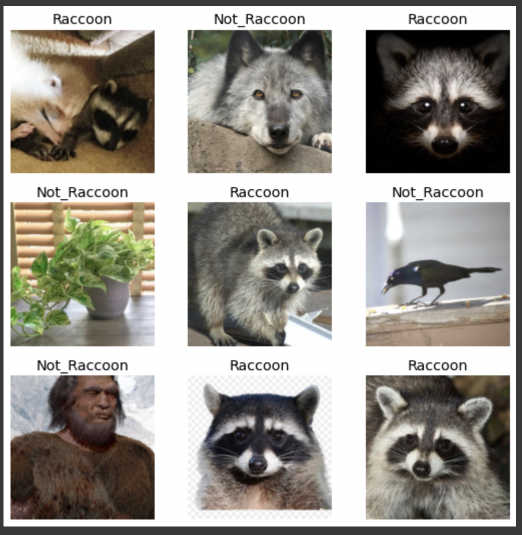 GitHub - WillChomrak/MLRaccoonIdentifier: A Machine Learning algorithm trainer that I used to ...