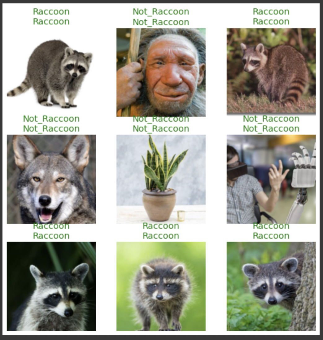 GitHub - WillChomrak/MLRaccoonIdentifier: A Machine Learning algorithm trainer that I used to ...