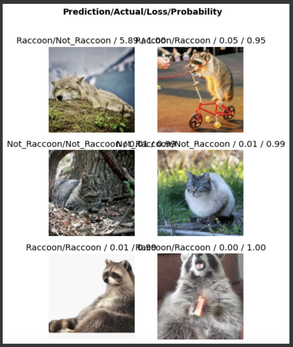 GitHub - WillChomrak/MLRaccoonIdentifier: A Machine Learning algorithm trainer that I used to ...