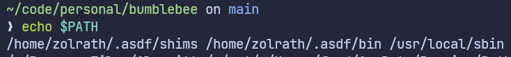 Additional `path` Directory Entries Randomly Disappear Between Commands
