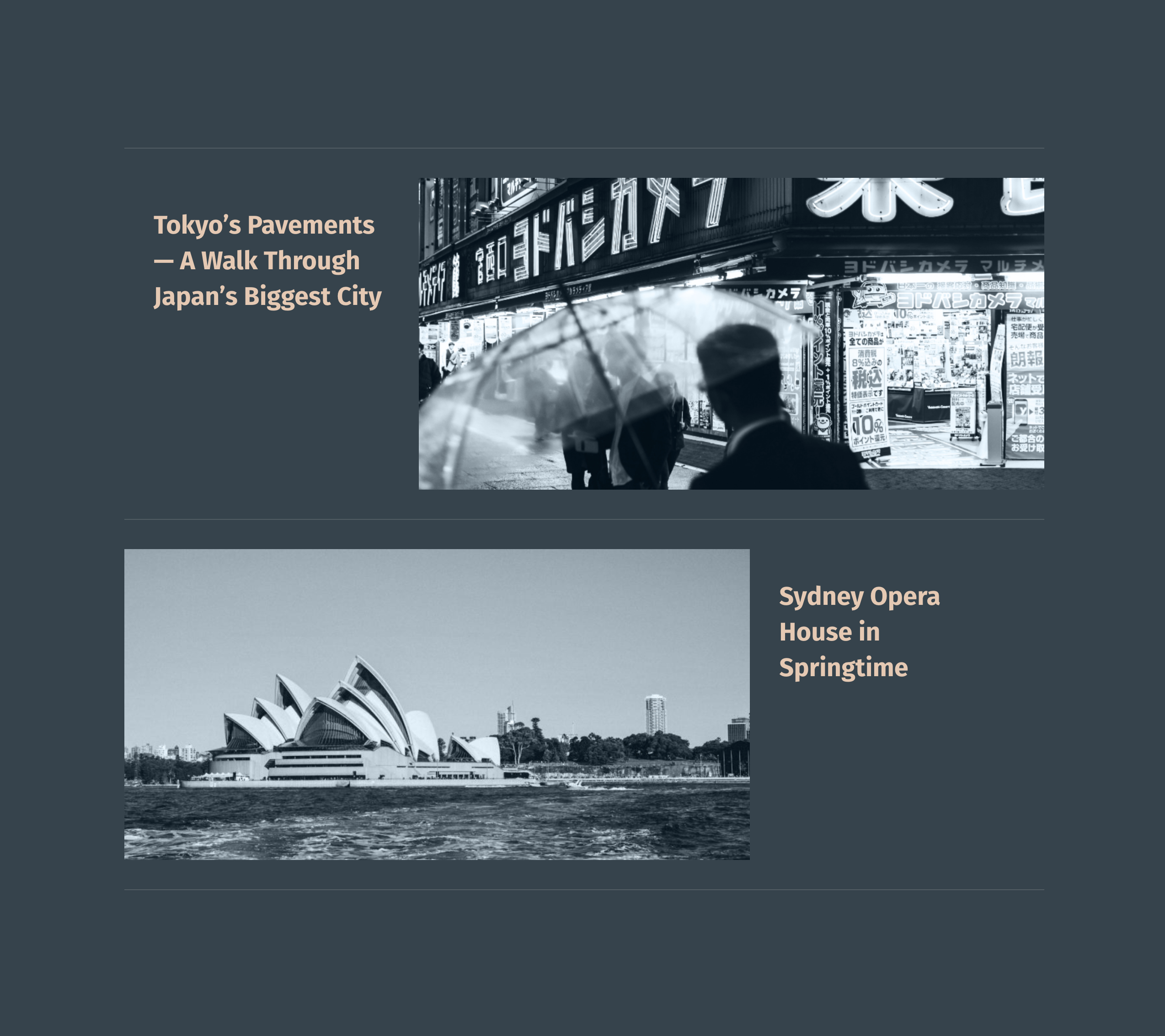 Photography Portfolio with Dark Background (Tokyo's Pavements) · Issue ...