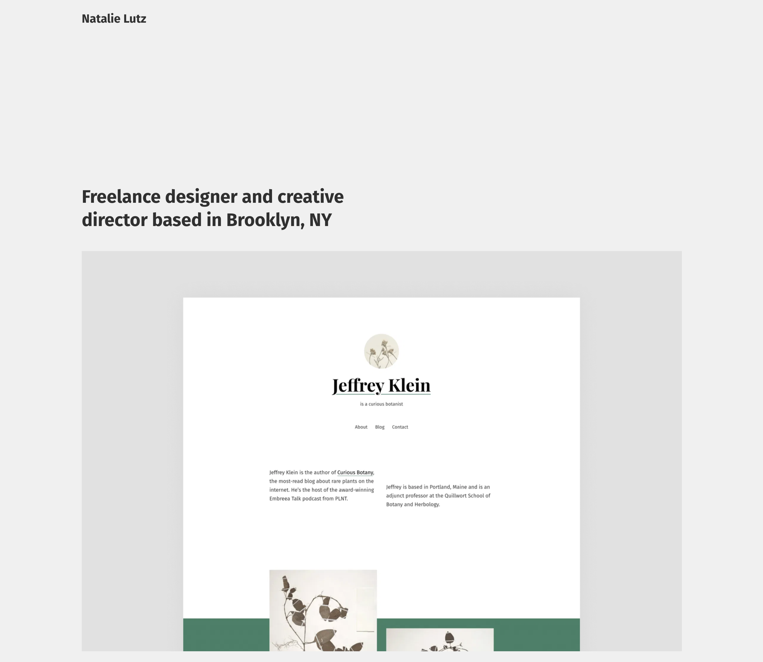 Web Design Portfolio (Natalie Lutz) · Issue #160 · Automattic/blockpatterns · GitHub