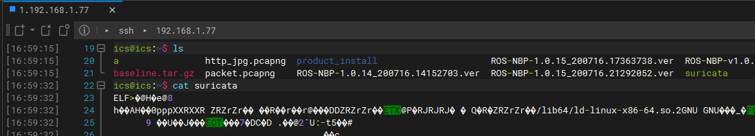 Bug Cat A Binary File Cause Display Exception · Issue 1217 · Kingtoolboxwindterm · Github