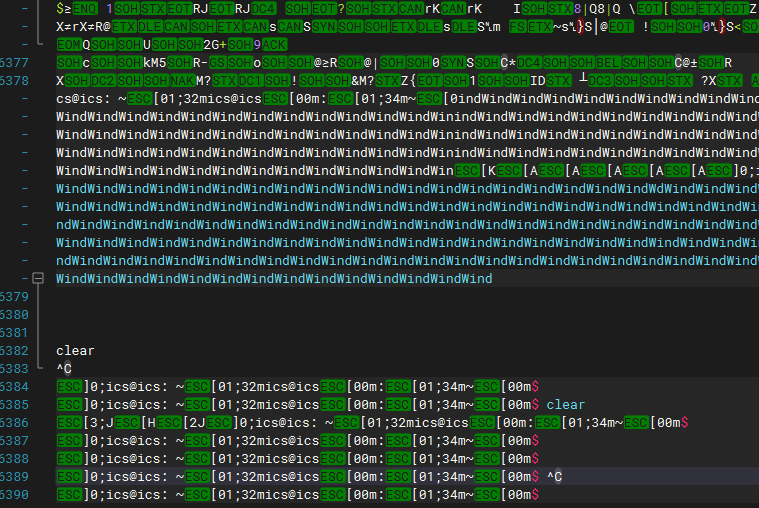 (Bug) cat a binary file cause display exception · Issue #1217 · kingToolbox/WindTerm · GitHub