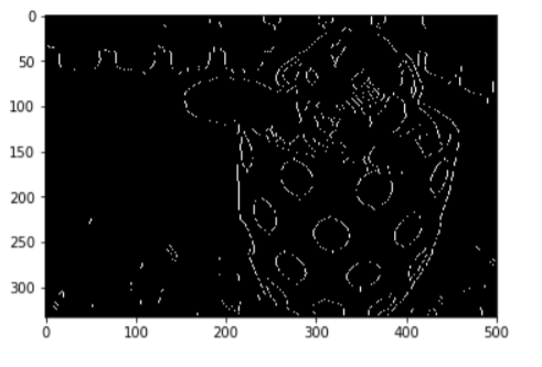 GitHub - DemetErol/Canny-Edge-Detector-from-Scratch