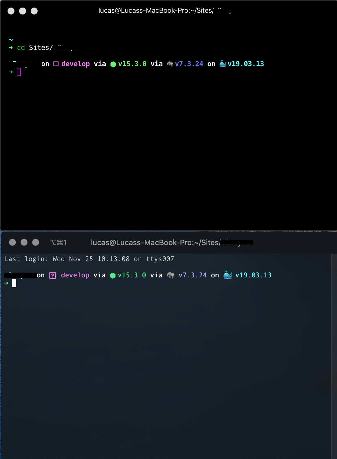 Missing Icon Even With Power Line Installed · Issue 884 · Spaceship Promptspaceship Prompt