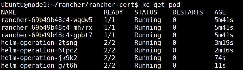 [BUG] Install rancher on arm64 k3s cluster failed · Issue #40420 · rancher/rancher · GitHub