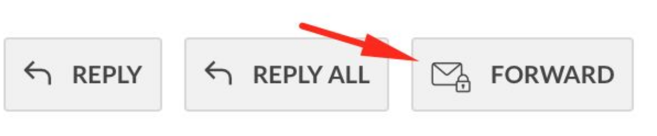 Use our own icons set (+ four related UI issues) · Issue #939 · CTemplar/webclient · GitHub