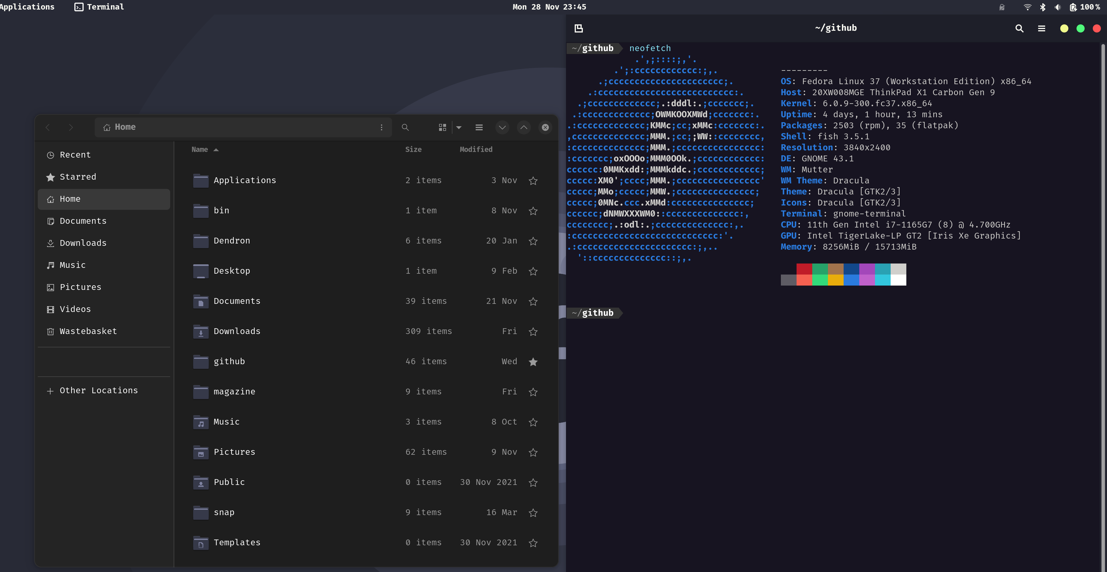 Not changing nautilus colors · Issue #222 · dracula/gtk · GitHub