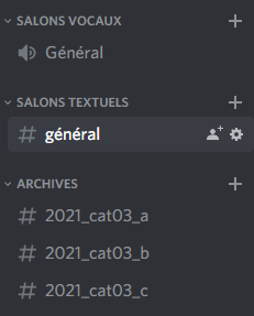 GitHub - elpem/discord_CTF_archiver