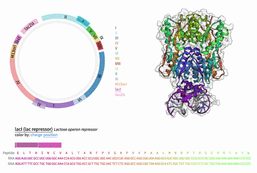Need to allow user to specify the target chain for selection · Issue #4 · douglaslab/plasmid ...