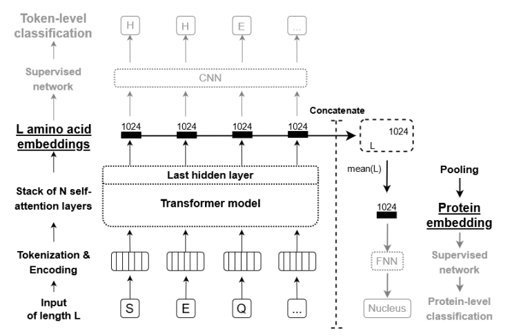 GitHub - AIfSR/2023-spring-genetics