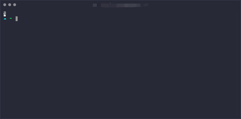 [bug] There Will Be A Character After Startup · Issue 3939 · Vercel Hyper · Github