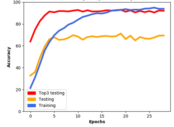 GitHub - paolobertellini/CNN-for-car-model-classification ...