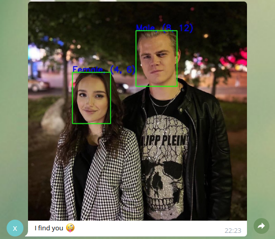 GitHub - belousm/Face-recognition-tg-bot: Face recognition telegram bot