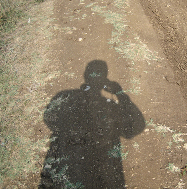GitHub - pratham-arora/Shadow-Removal · GitHub