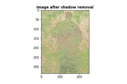 GitHub - pratham-arora/Shadow-Removal · GitHub