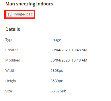 Remove the "image/" text from View Details · Issue #1302 · magento/adobe-stock-integration · GitHub