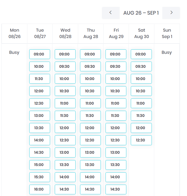 Please add a reservation/booking view · Issue #385 · nhn/tui.calendar · GitHub