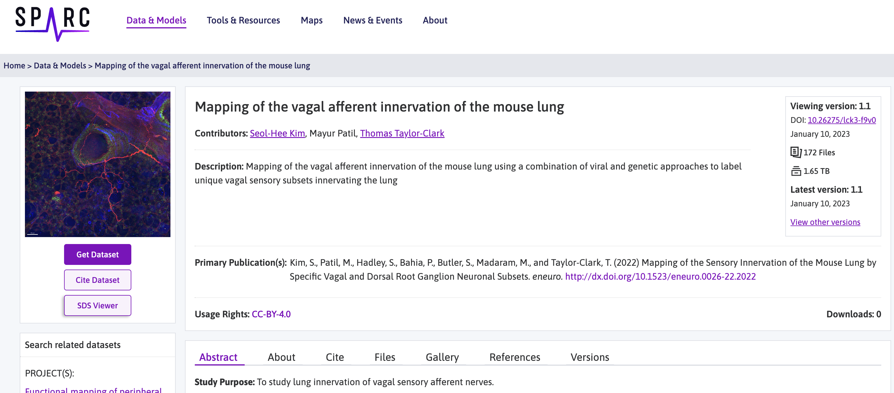 GitHub - MetaCell/sds-viewer: SDS Viewer