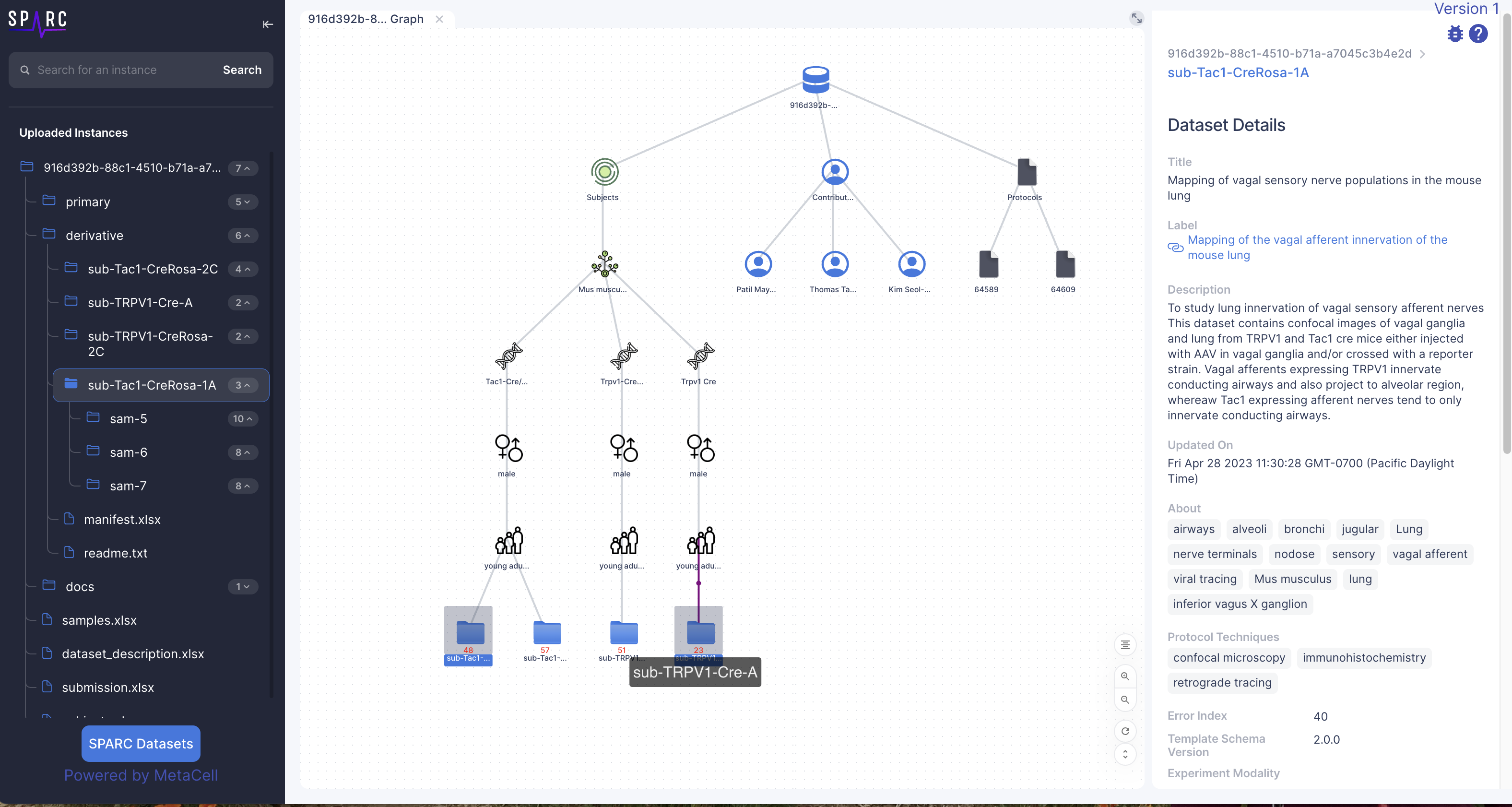 GitHub - MetaCell/sds-viewer: SDS Viewer