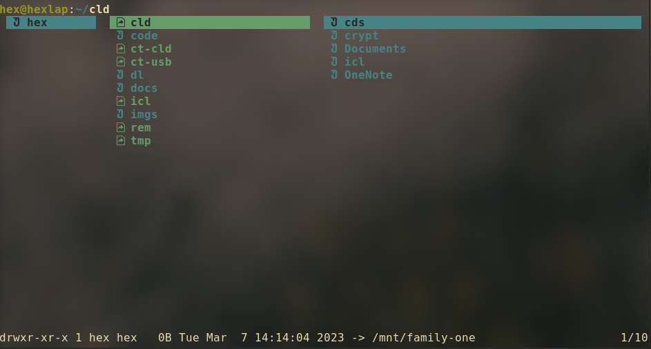 Icons not displaying correctly · Issue #1140 · gokcehan/lf · GitHub