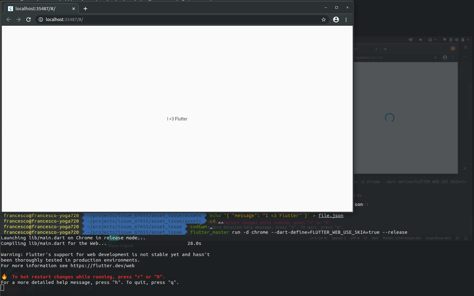 Web Deployed Flutter Web App Handle Assets Differently From Flutter Run D Chrome Release