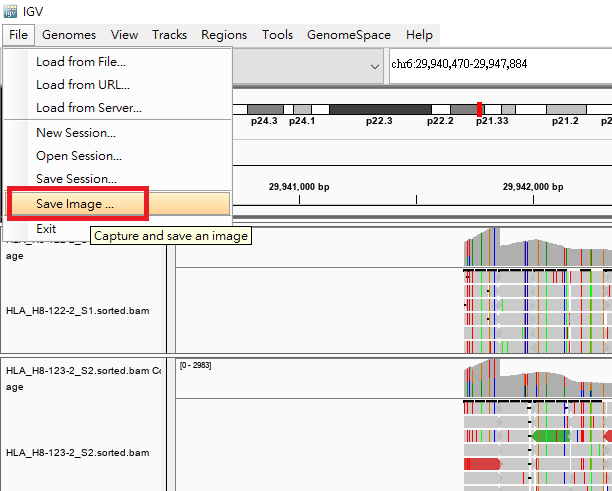 Can I get igv screenshot result like using windows igv (full width)? · Issue #740 · igvteam/igv ...