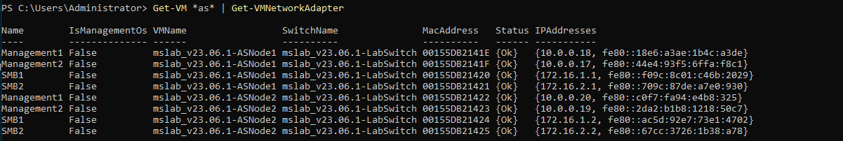adding additional Networks to LabConfig assignments getting wild · Issue #564 · microsoft/MSLab ...