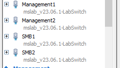 adding additional Networks to LabConfig assignments getting wild · Issue #564 · microsoft/MSLab ...