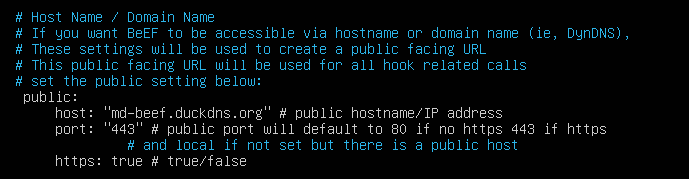 Beef hook url not working · Issue #2321 · beefproject/beef · GitHub