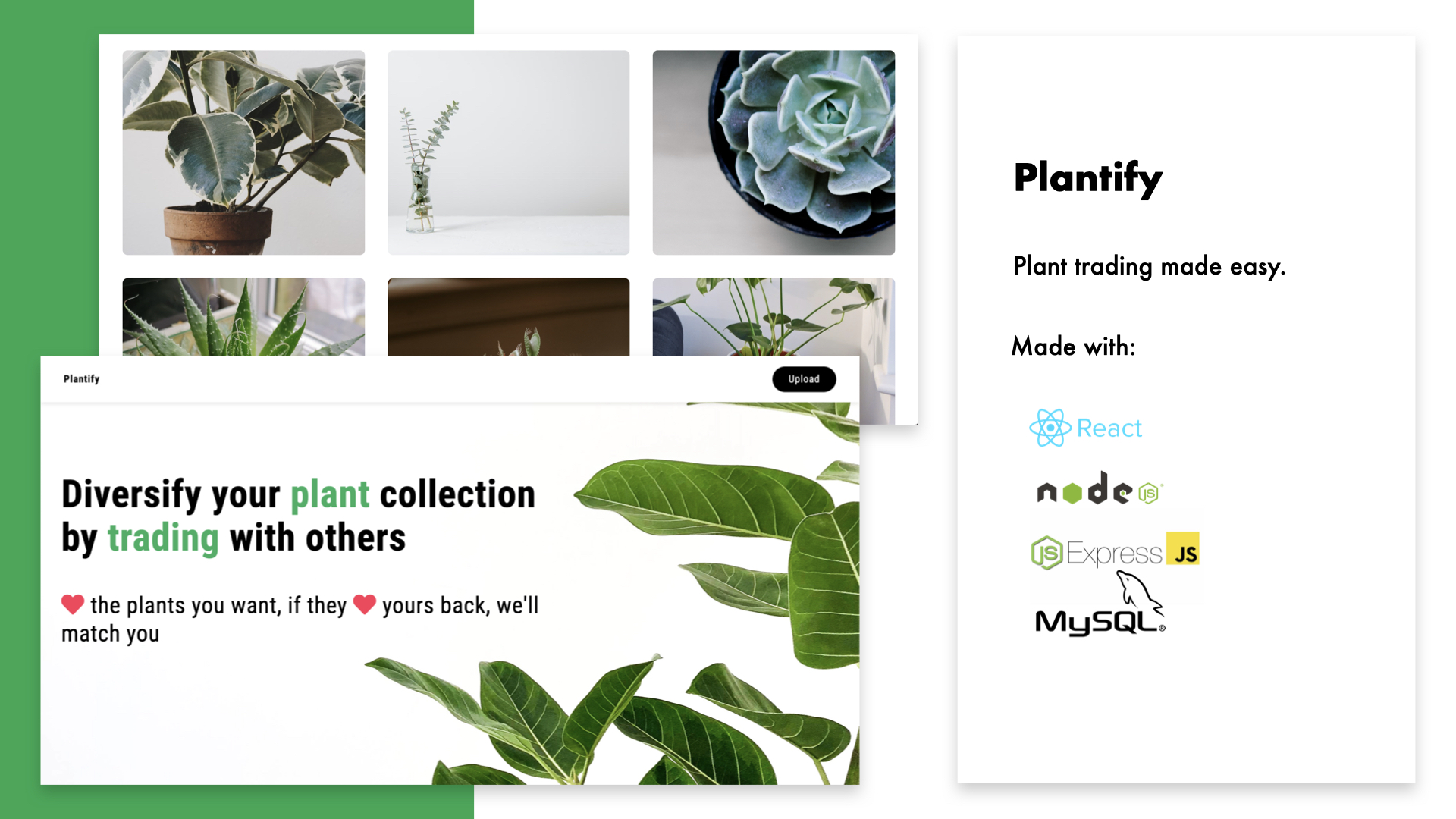 GitHub - nchchow/plantify