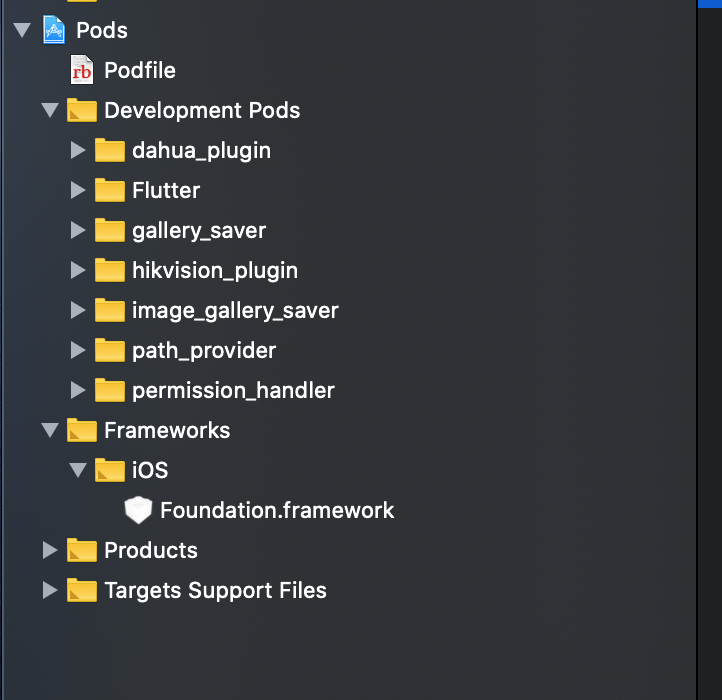 Flutter Lost My Plugin Libs And Got Errors Could Not Build The