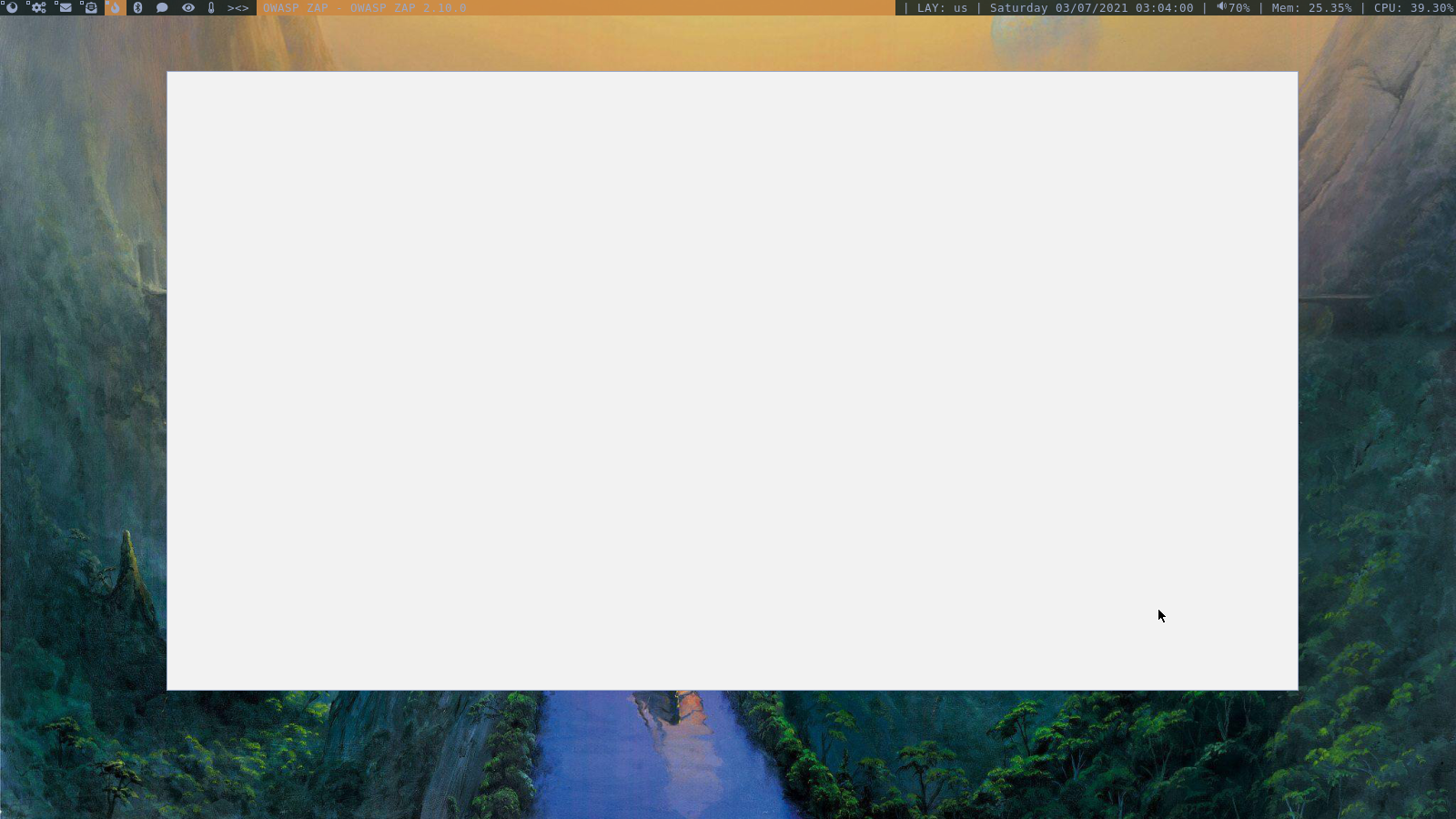 blank window with tiling window manager · Issue #6665 · zaproxy/zaproxy ...
