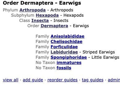 Create Guide Page quickadd form · Issue #130 · bugguide/bugguide · GitHub