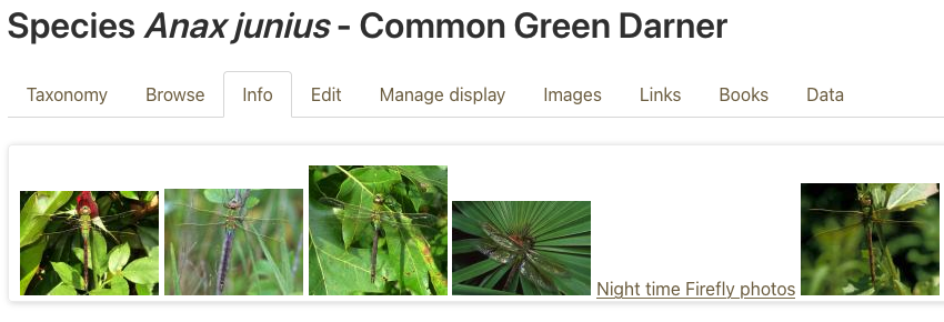 Validate that representative image nids are bgimages · Issue #451 · bugguide/bugguide · GitHub
