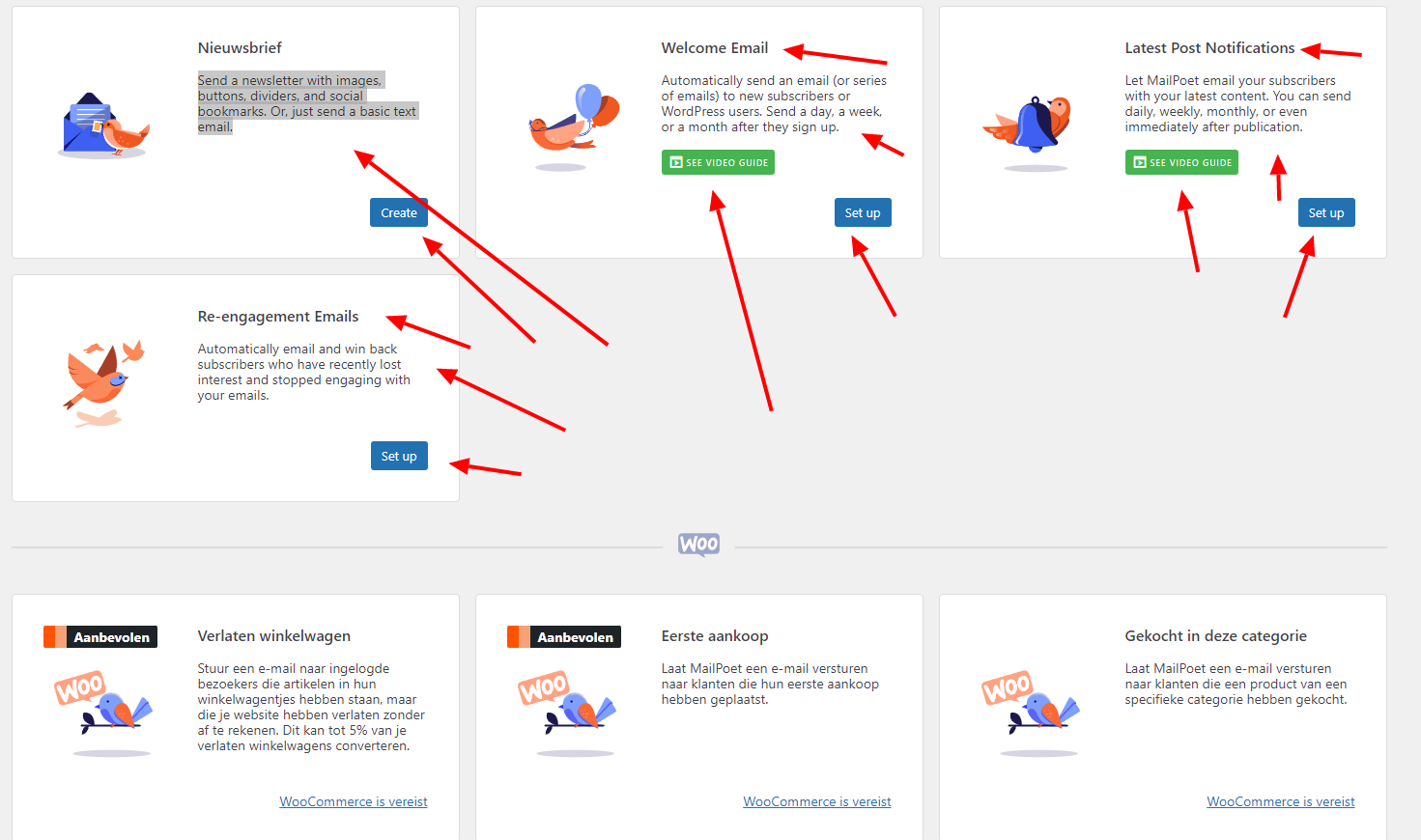 Translation Doesnt Work In Various Places · Issue 4441 · Mailpoetmailpoet · Github