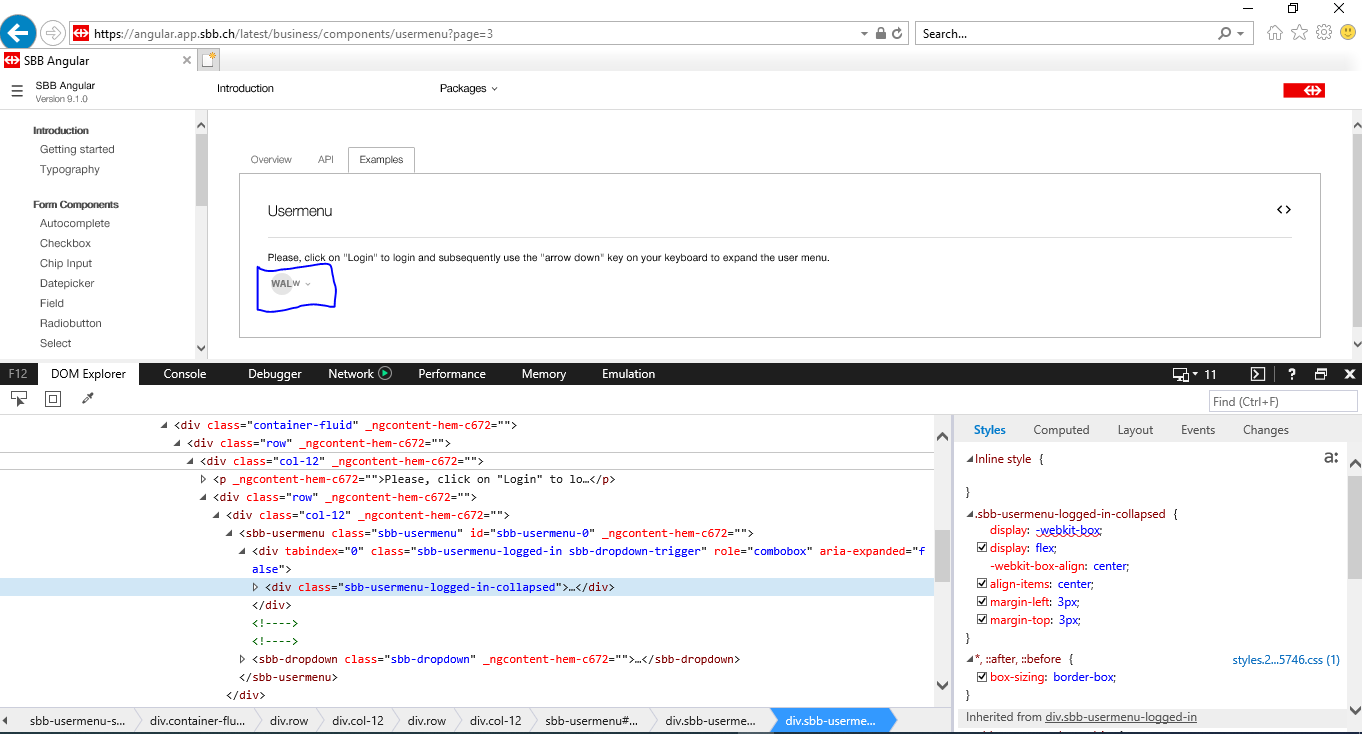 Bug: UserMenu displays incorrectly in IE11 · Issue #341 · sbb-design-systems/sbb-angular · GitHub