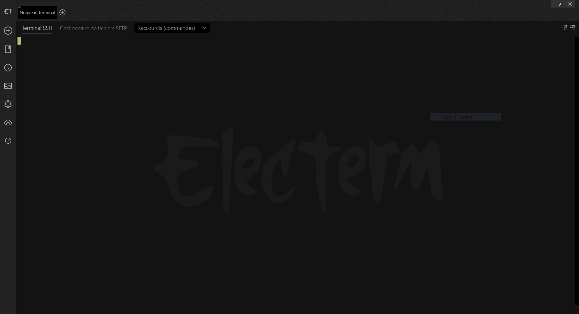 last version 1.0.26 not see prompt in windows · Issue #1556 · electerm/electerm · GitHub