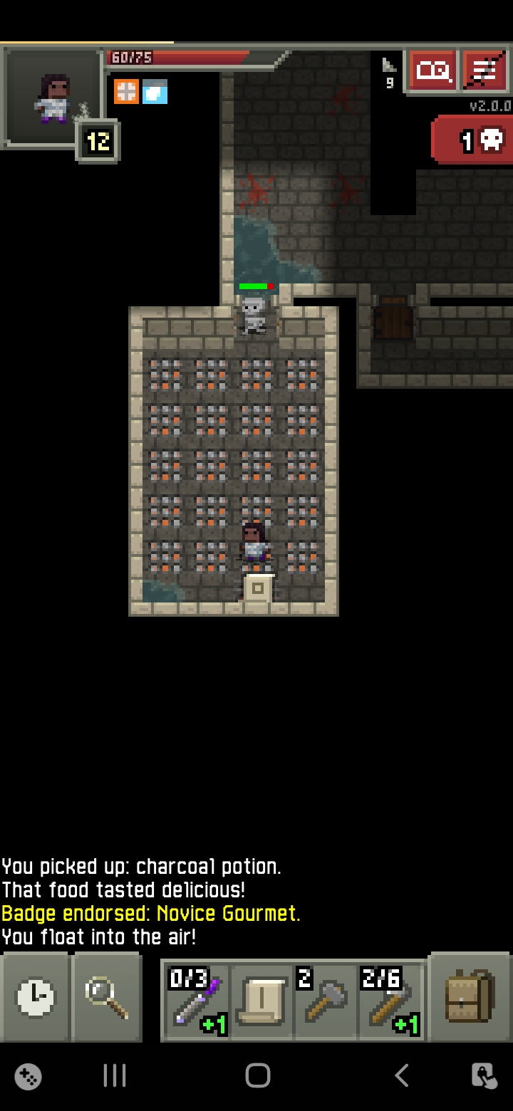 Duelist does not show levitation animation · Issue #1277 · 00-Evan/shattered-pixel-dungeon · GitHub