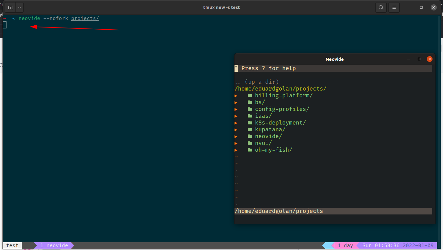 Add nvim-remote like functionality built in · Issue #1137 · neovide ...