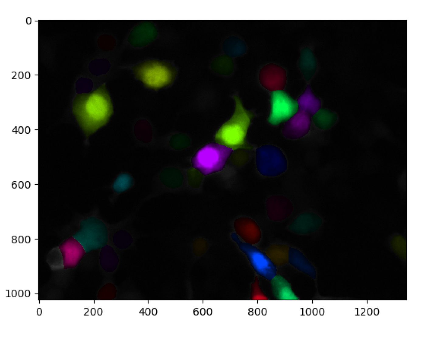 Indexerror Tuple Index Out Of Range · Issue 4 · Mouselandcellpose · Github