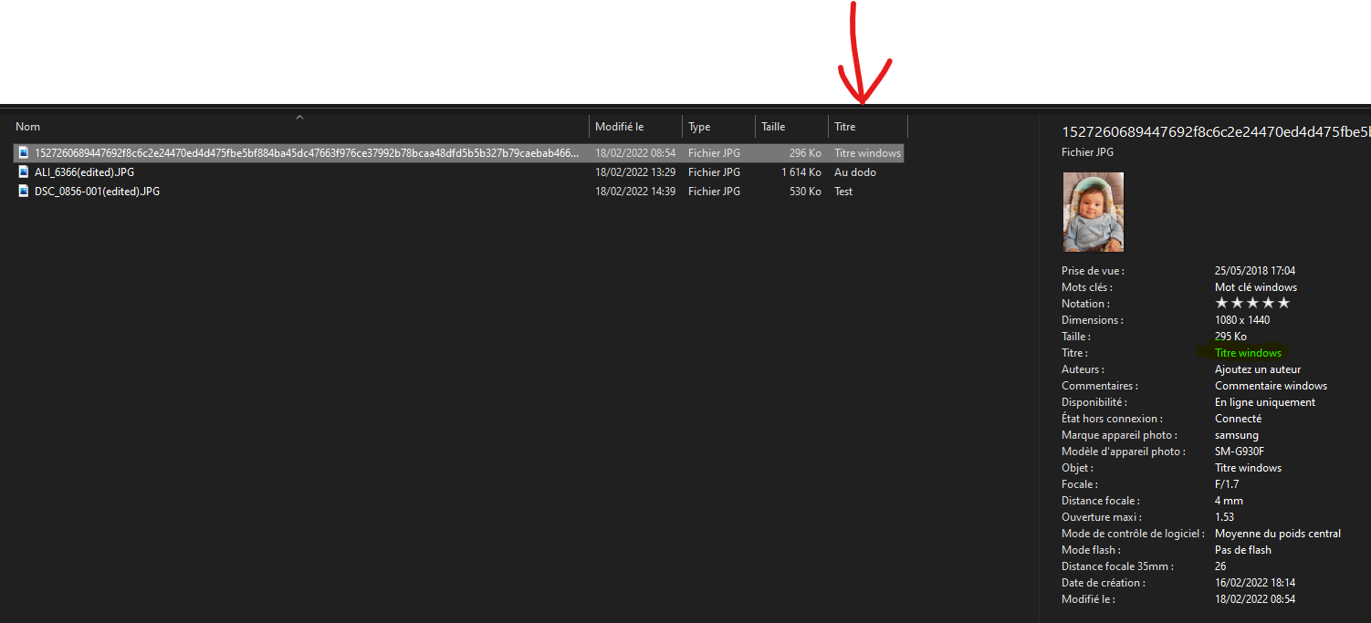 show_text · helgeerbe picframe · Discussion #249 · GitHub