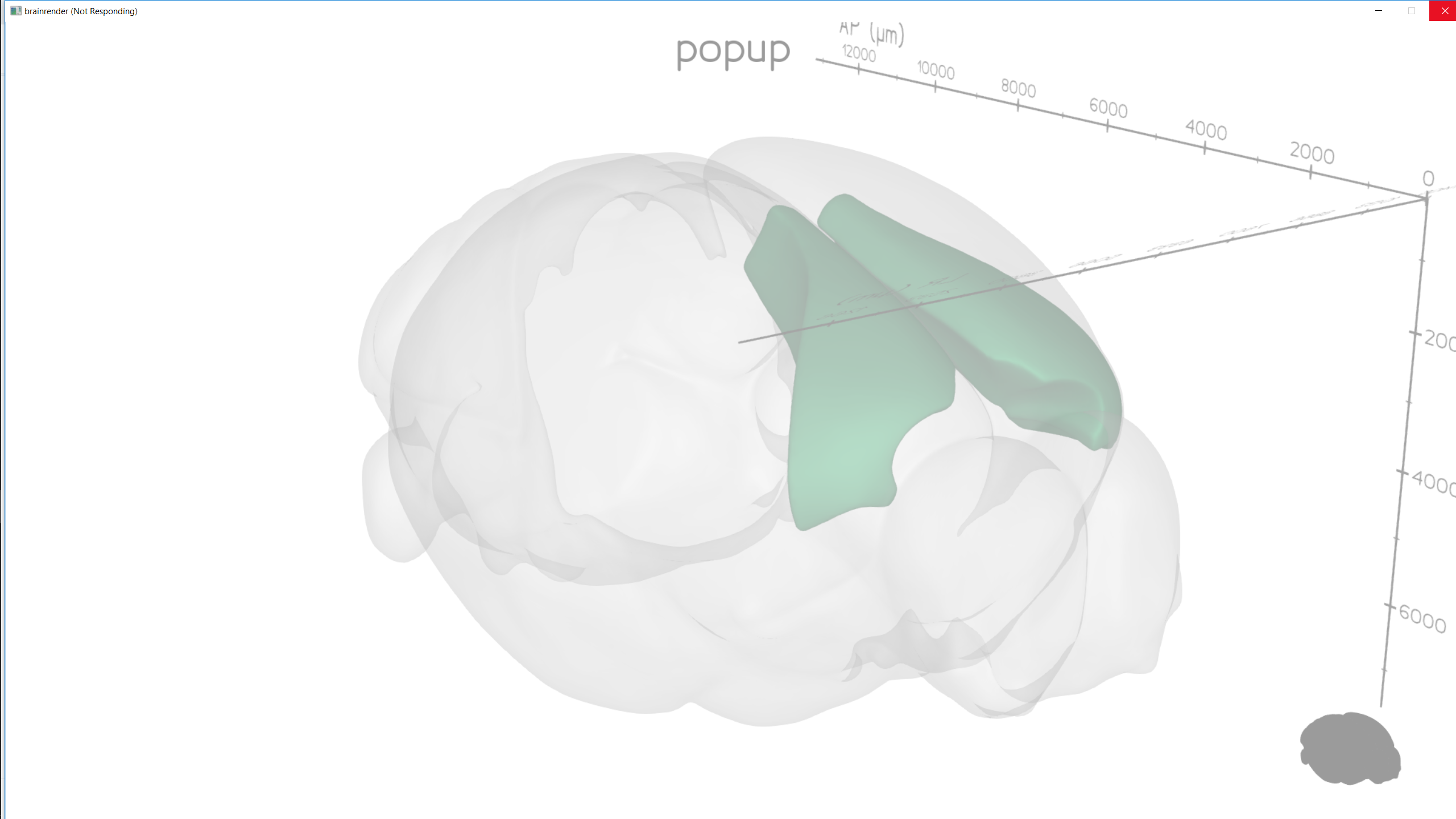 BUG: Fail to close the rendering window · Issue #175 · brainglobe/brainrender · GitHub