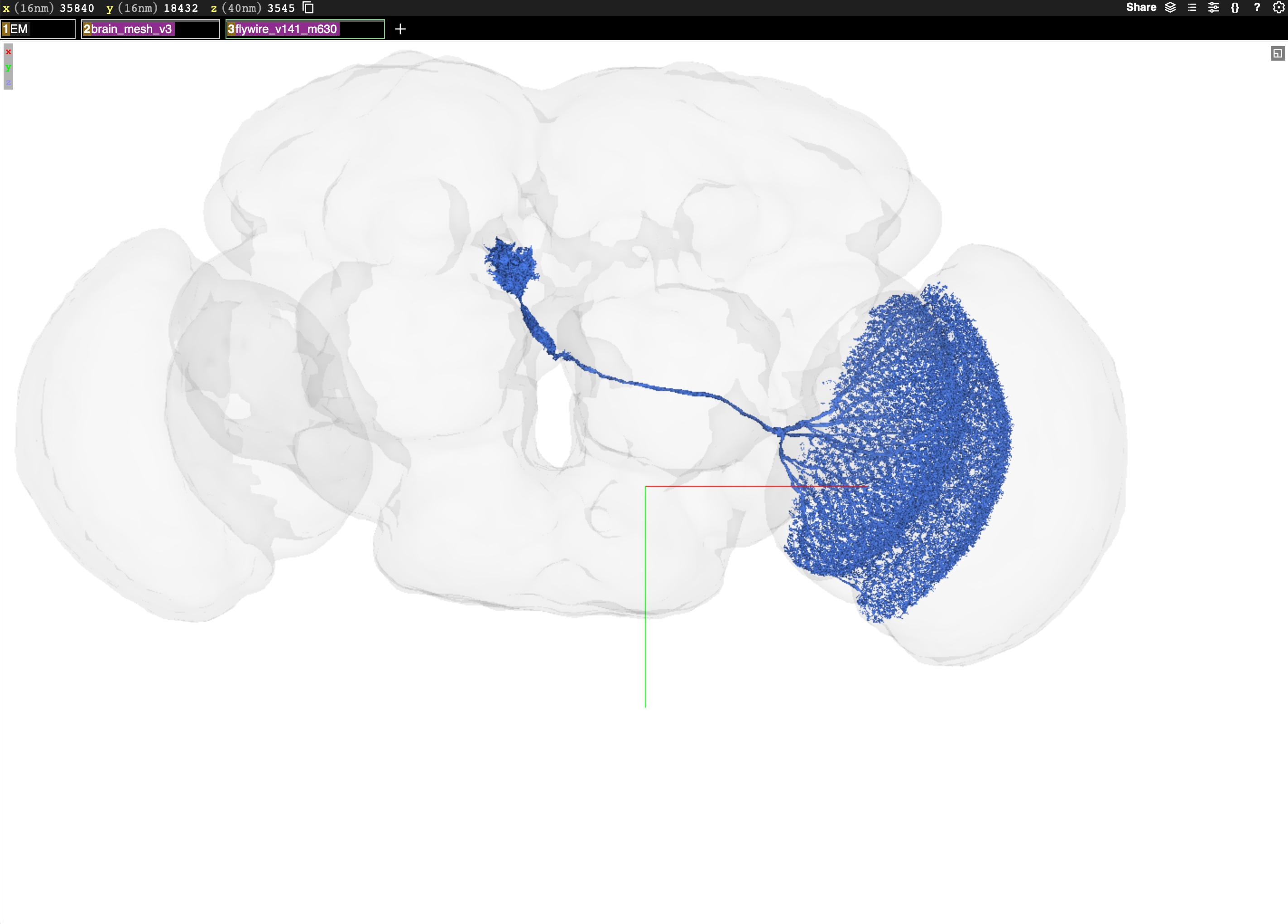 Rendering issue on iOS devices · Issue #471 · google/neuroglancer · GitHub
