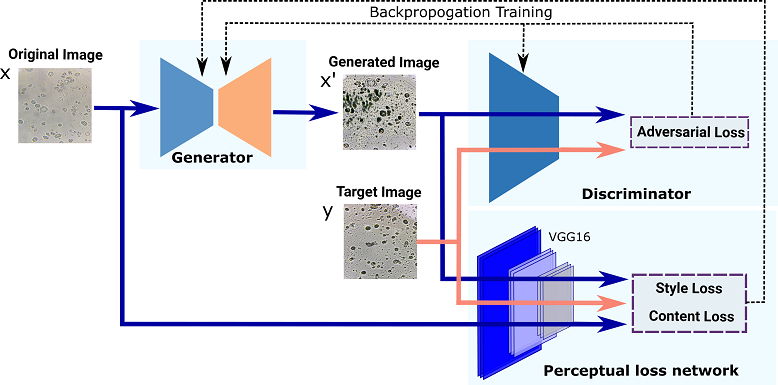 GitHub - Kahroba2000/BioGAN: A GAN-based image to image translation ...